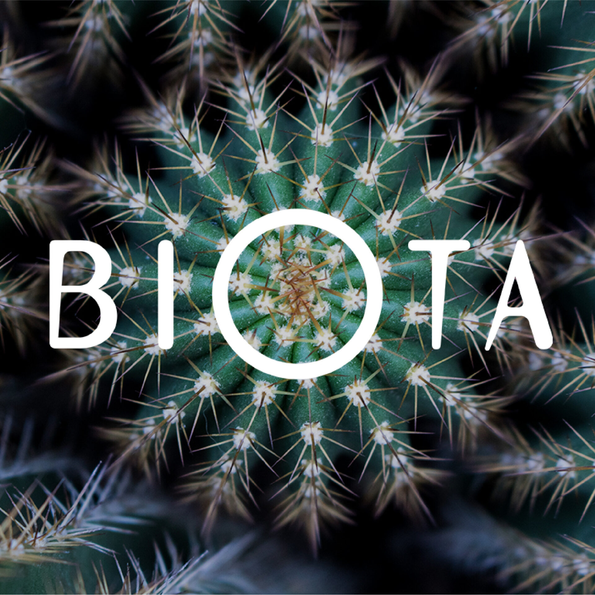 Identidad gráfica / Biota - Negro Diseño